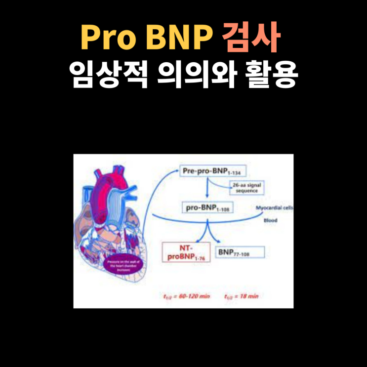 Pro BNP, NT-proBNP (프로 B형 나트륨이뇨펩타이드) 정의, 수치, 검사에 대한 이해 : 네이버 블로그