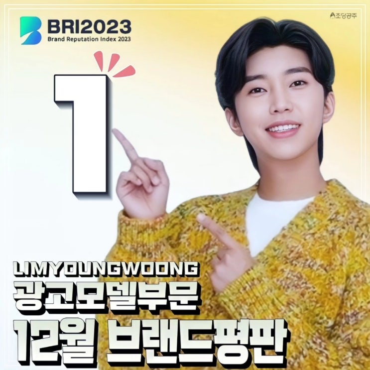 임영웅 브랜드평판 23년12월 광고모델부문1위🎊 아티스트임영웅💕 임영웅브랜드 국내원탑😎🫡 ㅡ 네이버 블로그