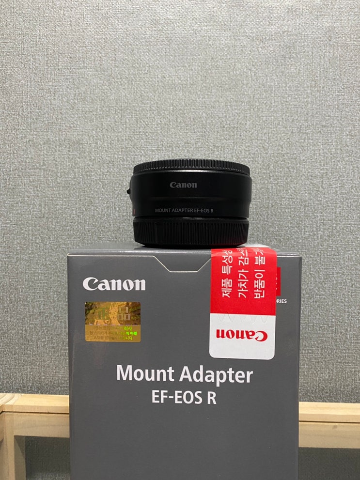 캐논 ef - rf 렌즈 마운트 어댑터링, Mount Adapter EF-EOS R, R8 테스트 사진,동영상 : 네이버 블로그