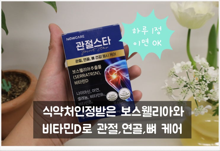 식약처 인정 보스웰리아와 비타민d로 관절과 연골 뼈 동시케어 네이버 블로그