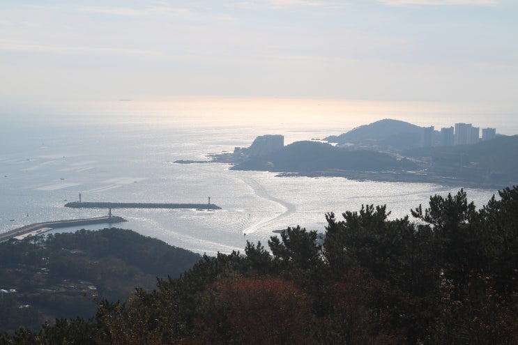 갈맷길 1 2 기장군청에서 송정해수욕장 네이버 블로그