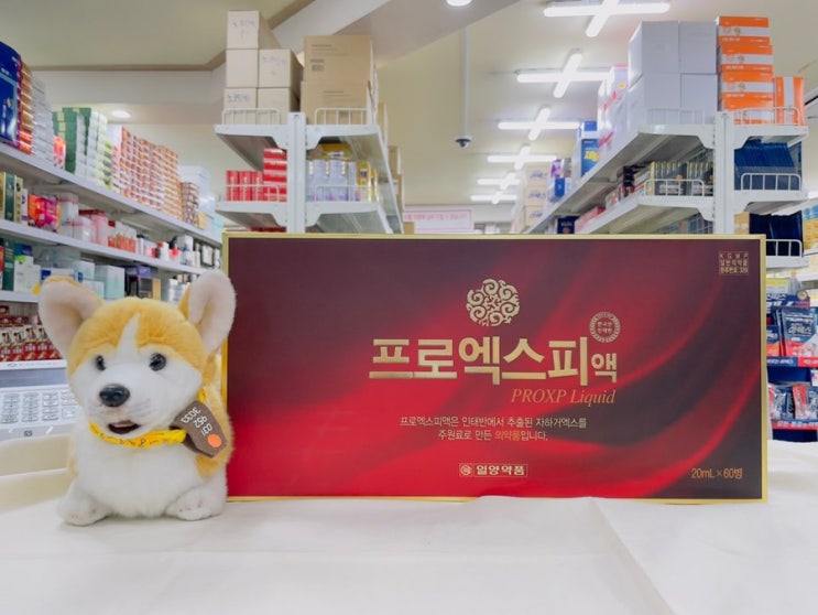 프로엑스피액 인태반 자하거 효과 복용법 가격 네이버 블로그