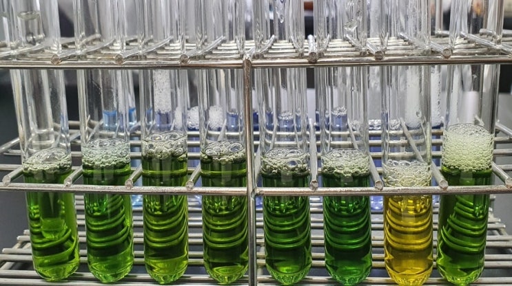 임상화학 생체색소 : 네이버 블로그