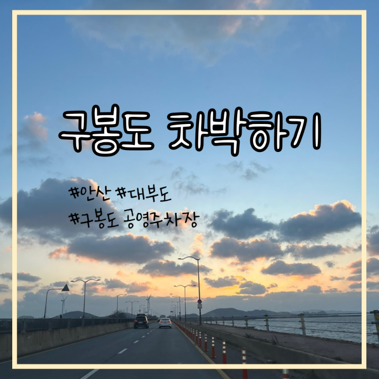 안산 대부도 구봉도 공영주차장에서 차박하기 오션시티 종합어시장에서 회 떠먹기 Feat회먹자 횟집 네이버 블로그