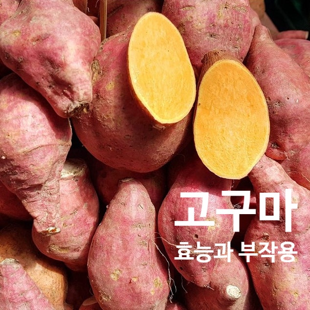 고구마 효능과 부작용 고구마껍질 영양성분up 맛있게 삶는법 네이버 블로그