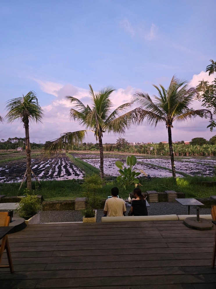 발리/발리살기/발리이쁜카페/발리 라이스필드 뷰/발리 사진맛집/우마네 카페(Umane Cafe) : 네이버 블로그