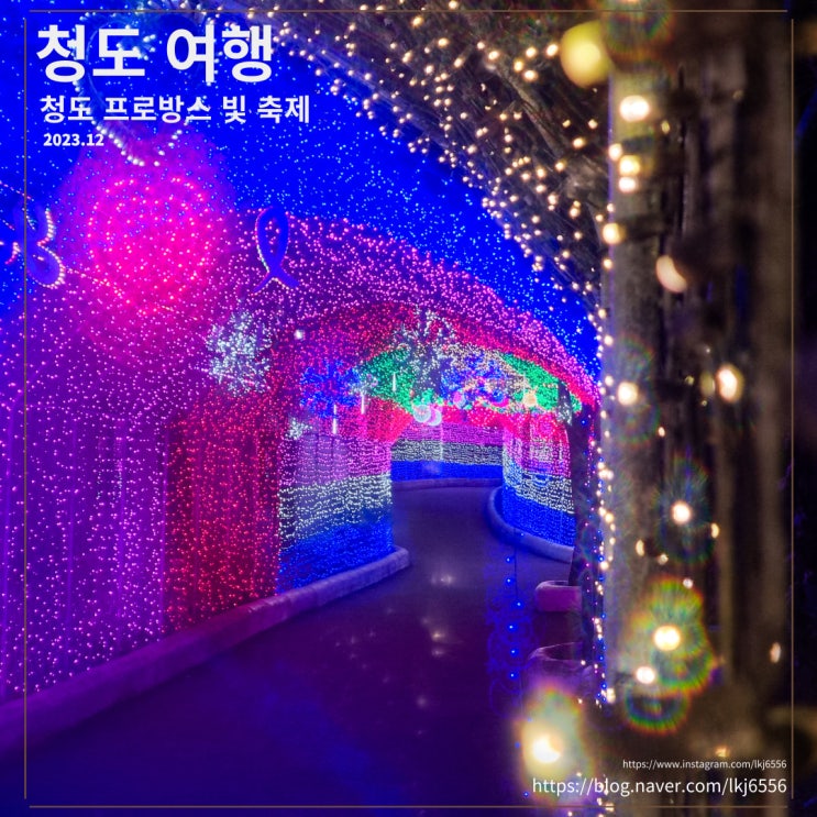 경북 겨울 여행 청도 프로방스 빛 축제 : 네이버 블로그