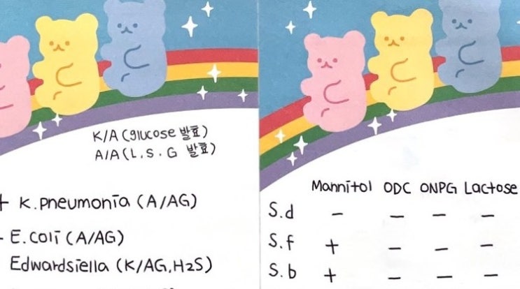 미생물 쉽게 외우기🧸 : 네이버 블로그