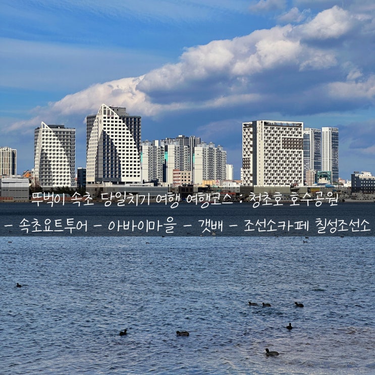 뚜벅이 속초 당일치기 여행 여행코스 속초호텔 체스터톤스 청초호 호수공원 속초요트투어 아바이마을 갯배 애견