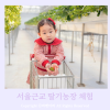 딸기체험 농장 일산 다인이네 딸기농장 서울근교 가볼만한곳 네이버 블로그
