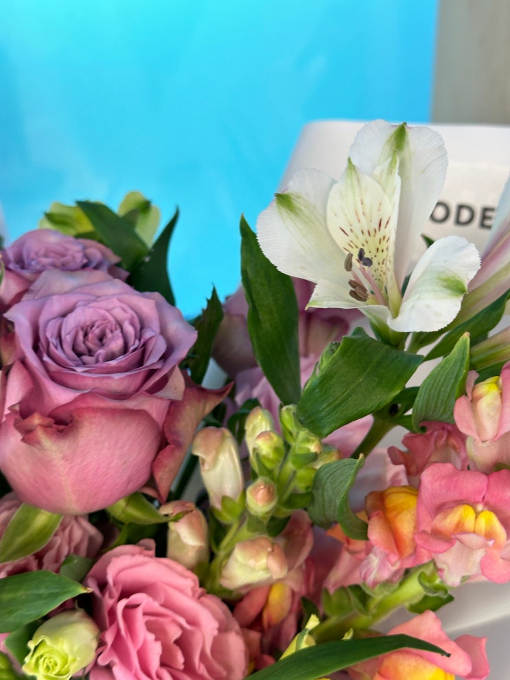 생화판매 종료 : 네이버 블로그