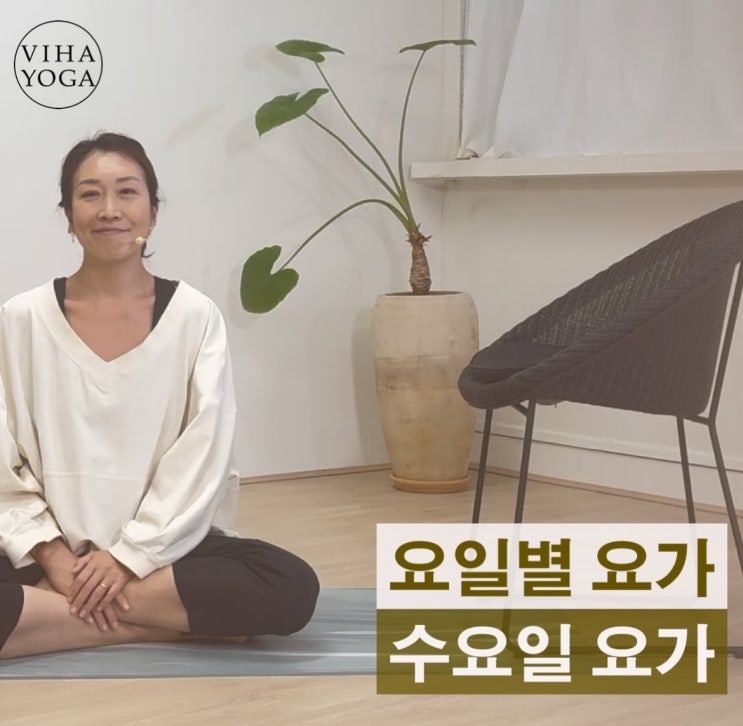 수요일엔 이완요가 ㅣ 강남요가 양재요가♥ 네이버 블로그