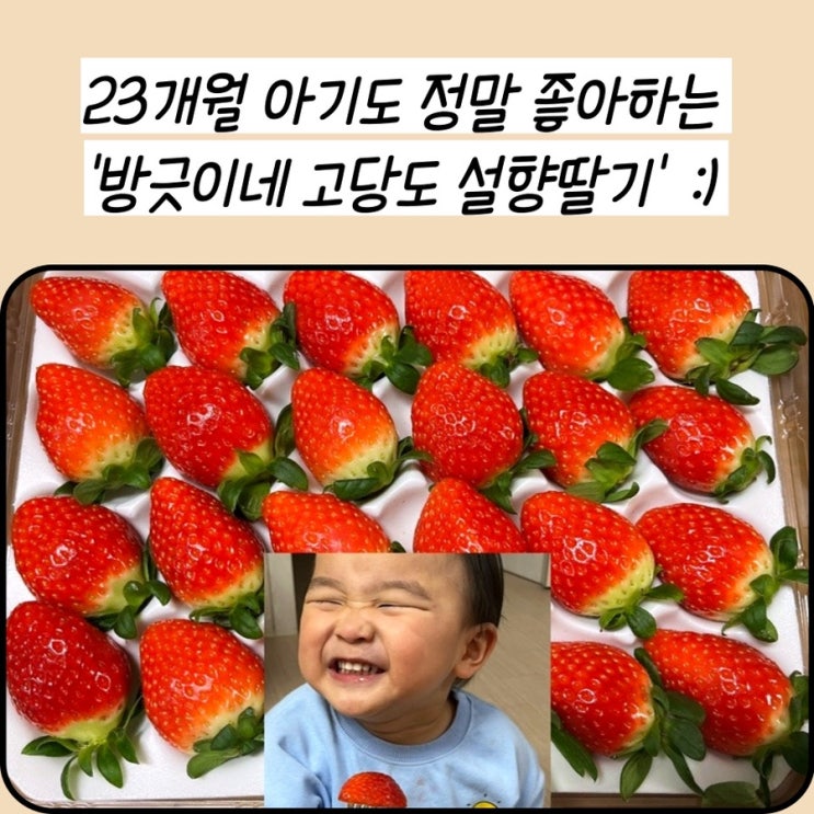 방긋이네 고당도 설향딸기 무농약 친환경딸기라 믿고 아기에게 먹일수 있어요 네이버 블로그