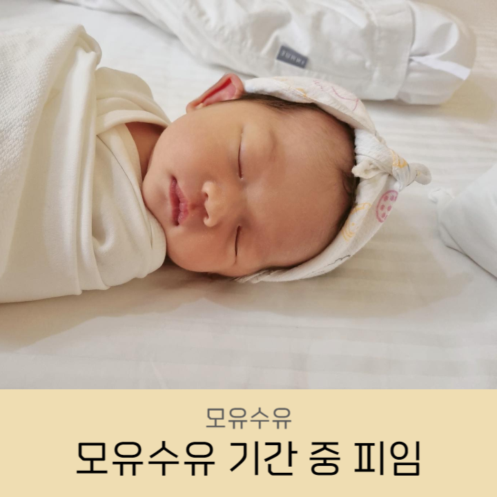 모유수유 기간 피임 될까 수유부 출산 후 생리 경험담 네이버 블로그