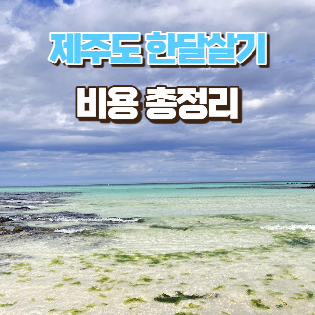 제주도 한달살기 비용 총정리 숙소 렌트카 탁송 택배 배송비 : 네이버 블로그