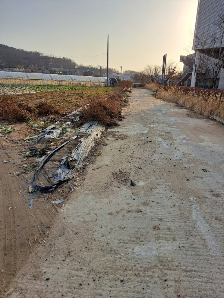 파주시 서패동 절대농지,농업진흥구역381평,평당250만원 매도,농업진흥구역 해제 가능성 높은 투자용 농지,답 : 네이버 블로그