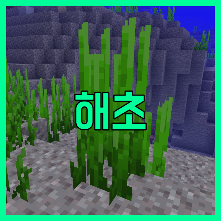 [마크] 마인크래프트 해초 공략 : 네이버 블로그