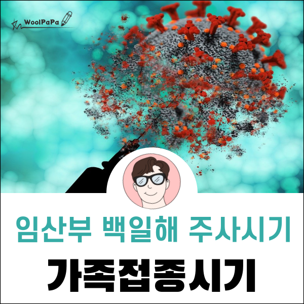 임산부 백일해 주사시기 부작용 가족접종시기 가격 및 장소 네이버 블로그