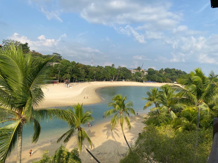 3박4일3편 싱가포르🇸🇬 자유여행 보타닉가든🌴에서 센토사 섬🏝️까지 낭만적이고도 전투적인 하루💙 내셔널 가든