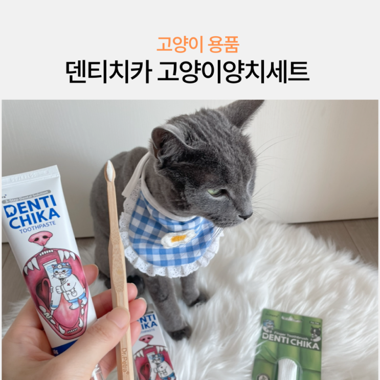 고양이 치석치약 덴티치카 바르면 양치 끝 네이버 블로그