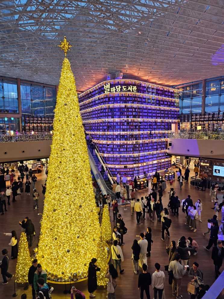 겨울방학 서울 코엑스 실내 골드트리 별마당도서관 아이와 갈만한 곳 네이버 블로그