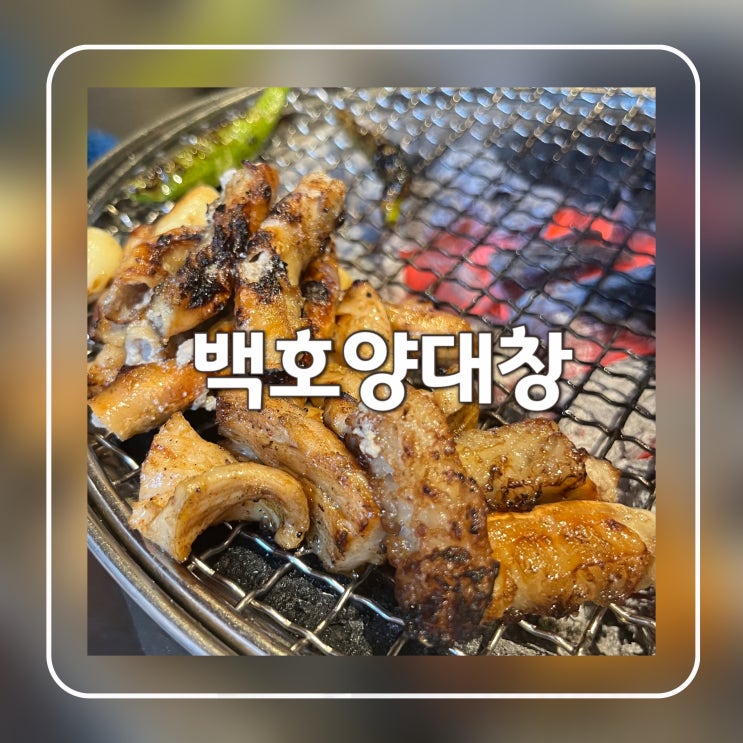 이수곱창 숯불에 구워주는 사당고깃집 백호양대창 : 네이버 블로그