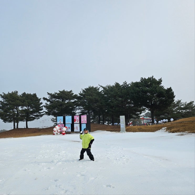 비발디파크 스노위랜드 할인 눈썰매장 후기 아이랑 이용 꿀팁 네이버 블로그