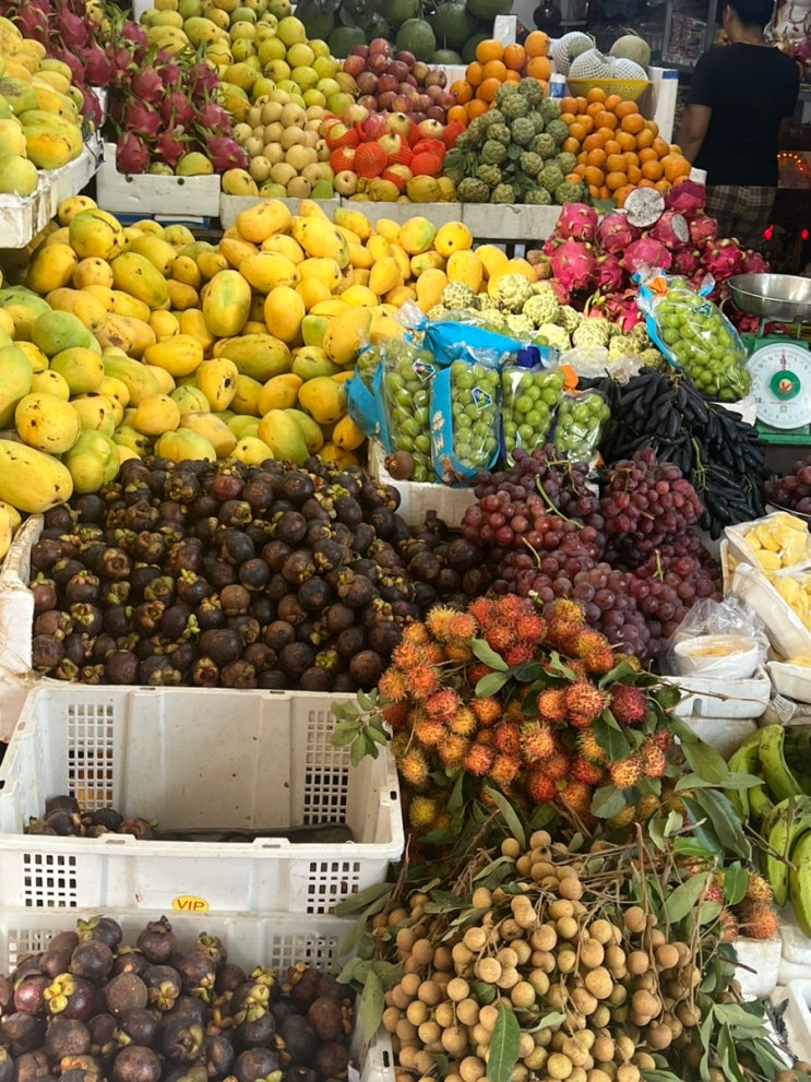 [나트랑여행] 1일차(2) - CCCP COFFEE, 반미판, 65번 과일가게, 저녁식사는 촌촌킴👍👍 : 네이버 블로그