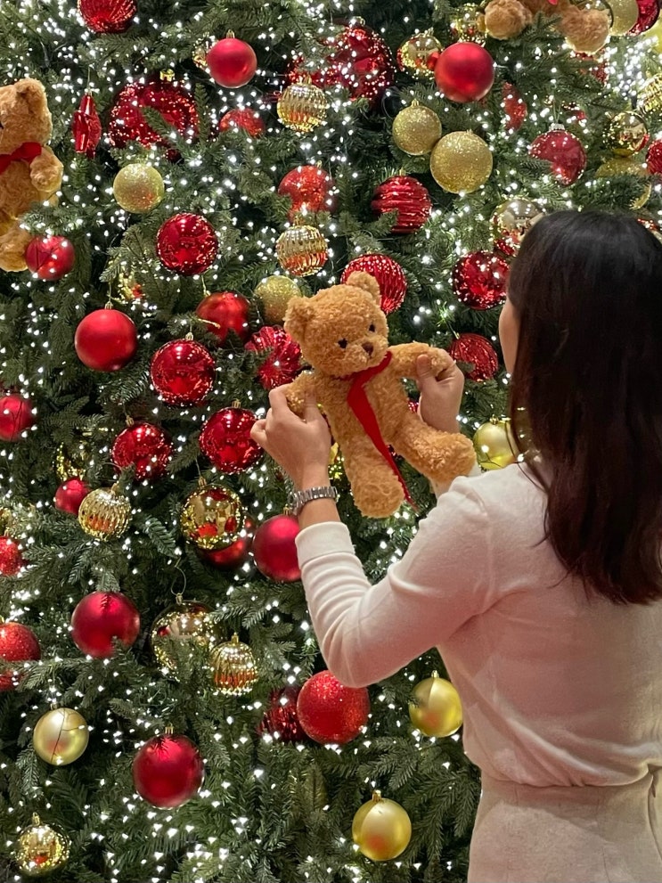 서울 근교 의정부 크리스마스 카페: 대형 트리 포토존 아나키아 : 네이버 블로그
