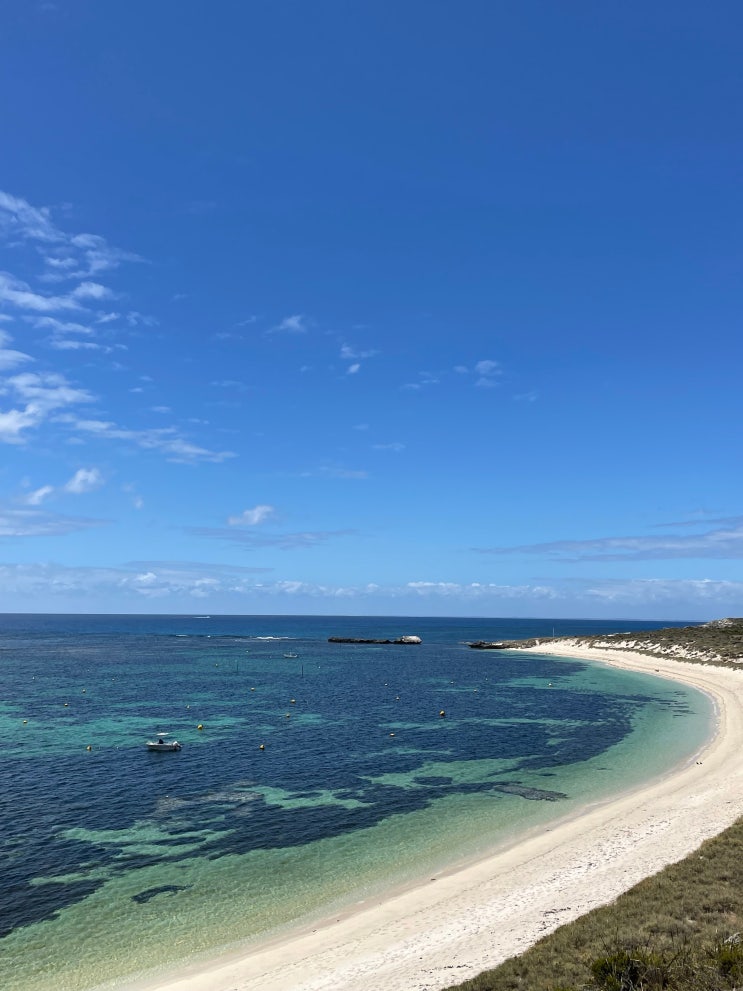 호주 Perth 34일차 - Quasimodo's Cafe/로트네스트 아일랜드(페리 예약, 전기자전거 예약)/The Little ...