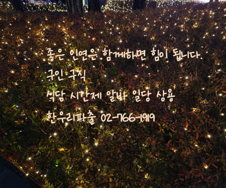 서울 종로 송파 강남 식당파출 시간제 알바 일당 상용 전문 구인구직 네이버 블로그