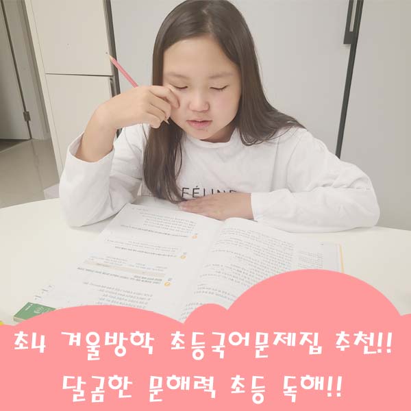 초4 겨울방학 초등국어문제집 추천 달곰한 문해력 초등 독해 네이버 블로그