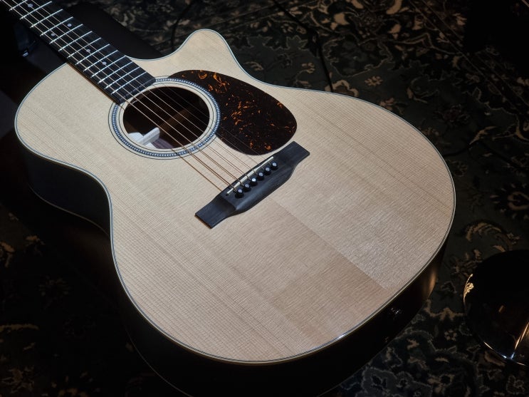 Martin 16시리즈 마틴 GPC-16E-01 : 네이버 블로그