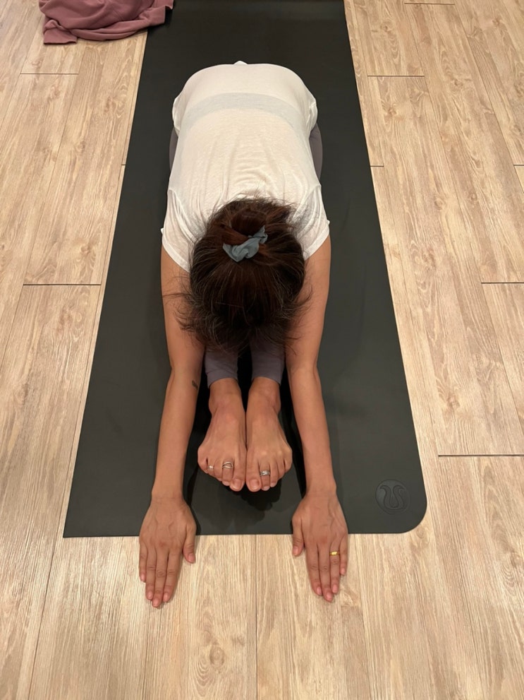 파스치모타나아시나 6단계 : 네이버 블로그