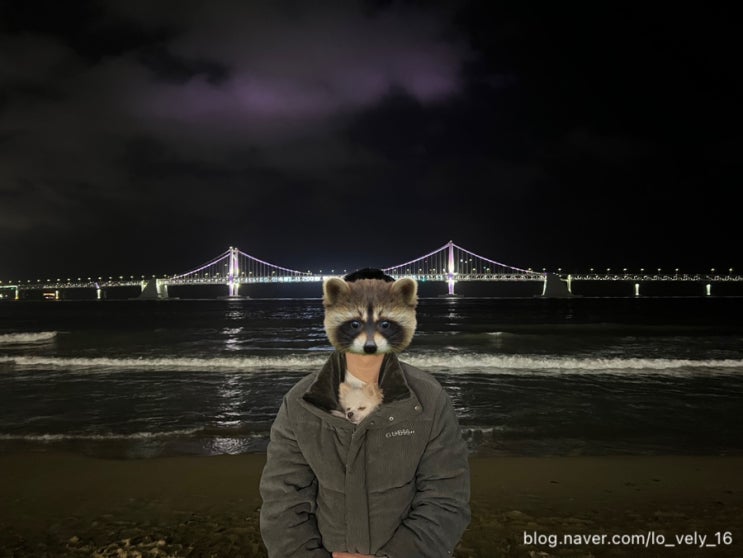 반려견과 함께하는 부산 여행 부산 애견동반 2박3일 여행 2일차ㅣ해운대 수백진국 신세계 센텀시티점 씨엘로 영도 흰여울문화마을