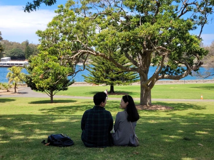 호주~ 뉴질랜드 신혼여행 Ep3 우여곡절 많은 시드니 여행중 시드니시티호주유심 어그 보타닉가든 패디스마켓 기념품