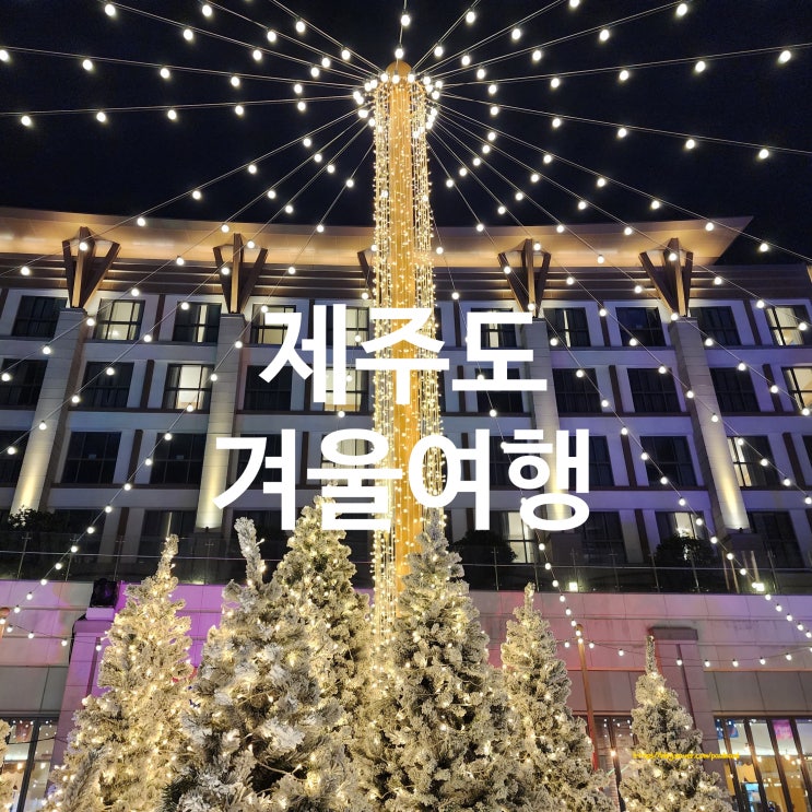 제주도 겨울 여행 크리스마스 분위기 물씬 풍기는 제주 신화월드 신화관 네이버 블로그