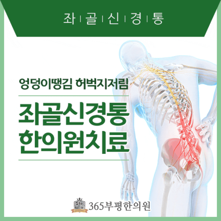좌골신경통 증상과 적절한 대처법 부평역 한의원 추나요법 네이버 블로그