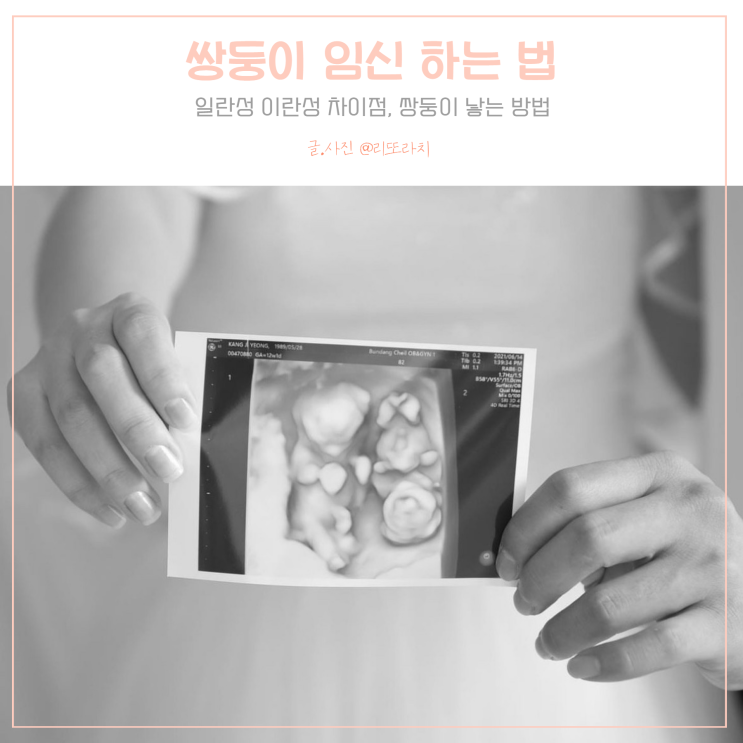 쌍둥이 임신하는법 일란성 이란성 차이 자연임신 쌍둥이 확률 자연분만 네이버 블로그