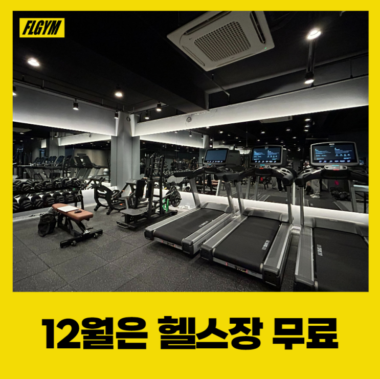 FL GYM 12월에는 헬스권이 무료라고? : 네이버 블로그