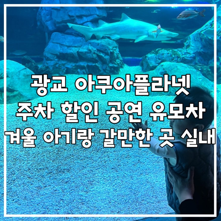 광교 아쿠아플라넷 주차 할인 공연 유모차 겨울 아기랑 갈만한곳 실내 네이버 블로그