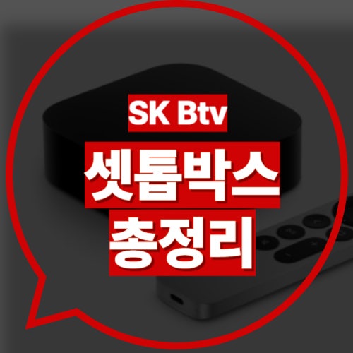 SK Btv 셋톱박스, 넷플릭스 볼 수 있는 꿀팁 : 네이버 블로그