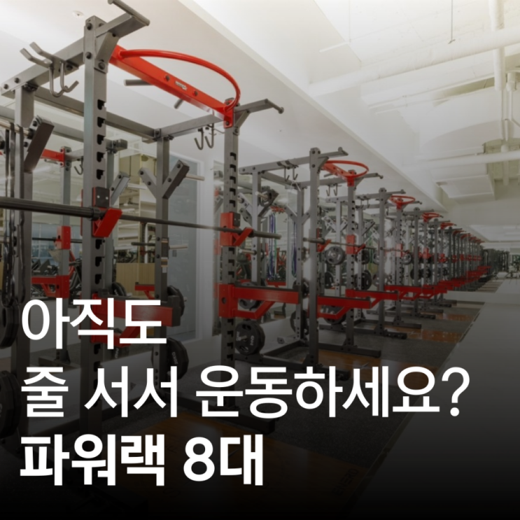 백석헬스장마두헬스장 아직도 줄 서서 운동하세요 파워랙 8대 있는 프리미엄 헬스장 휘트니스칸 네이버 블로그