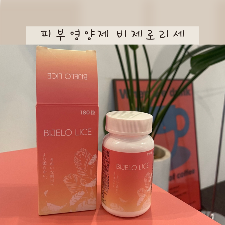 피부 가려움증 원인 알고 아토피에 좋은 음식 챙기며 피부영양제 비제로리세 챙기고 있죠 네이버 블로그
