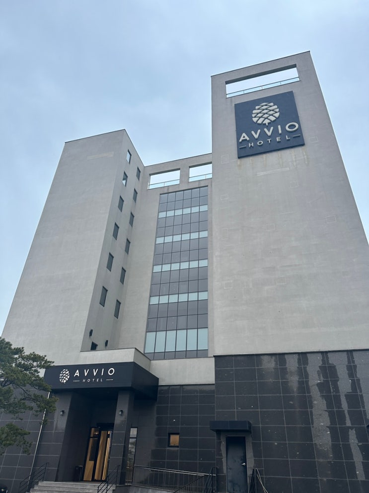 강릉호텔 아비오호텔 가성비 진짜 좋은 오션 뷰 숙소 솔직 후기는..? 강릉바다 뷰 avio : 네이버 블로그