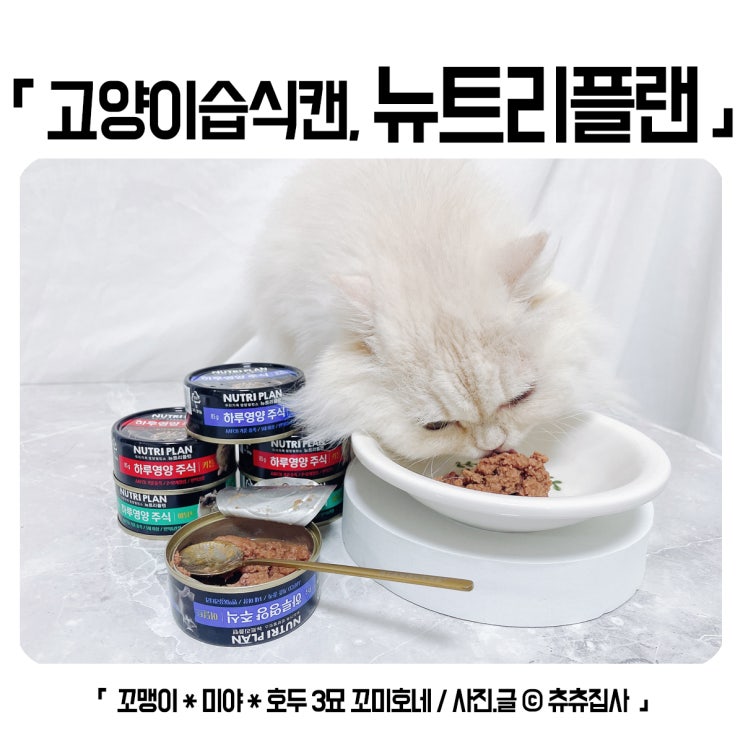 고양이습식캔 동원 뉴트리플랜 기호성 좋은 고양이캔 네이버 블로그