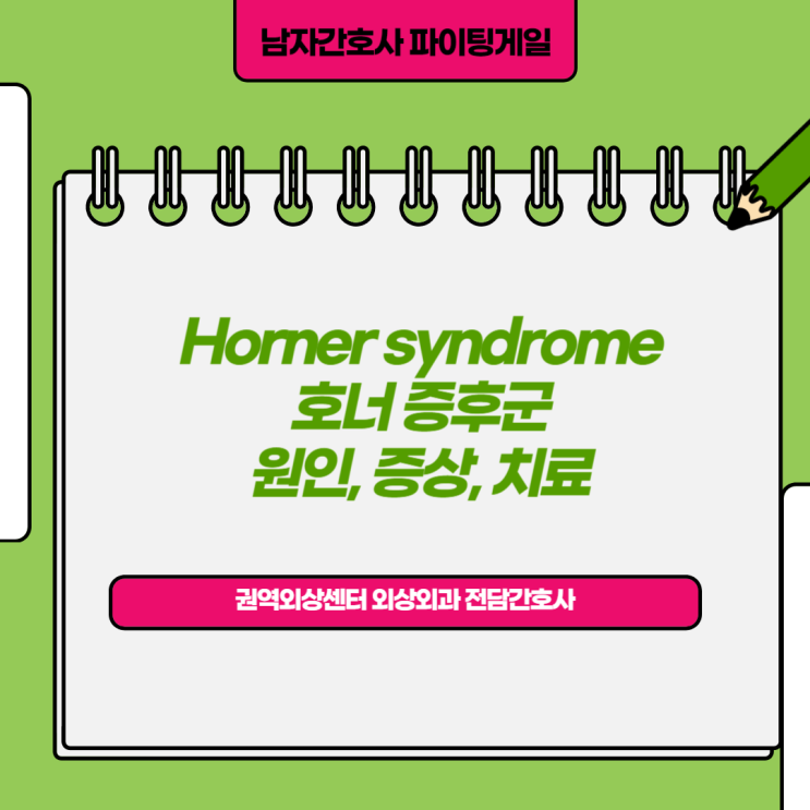 Horner syndrome(호너증후군) 원인, 증상, 치료 등을 알아보자. : 네이버 블로그