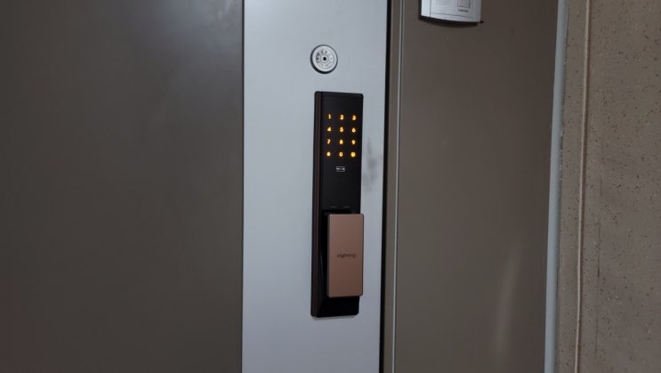 청주오창도어락추천, 우림필유2차에 직방[구,삼성]푸시풀 SHP-DP751설치 : 네이버 블로그