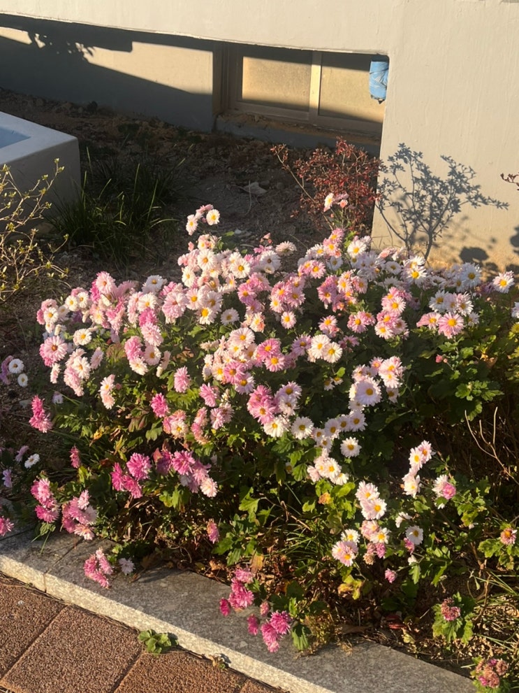 [사원 18~20주차] 일복이 터진다 : 네이버 블로그