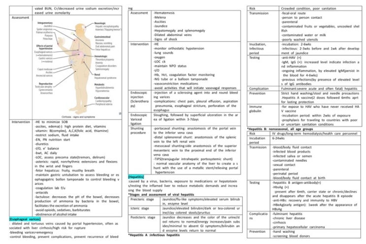 NCLEX | Saunders: Gastrointestinal system | Cram sheet, 요약, 정리본 : 네이버 블로그
